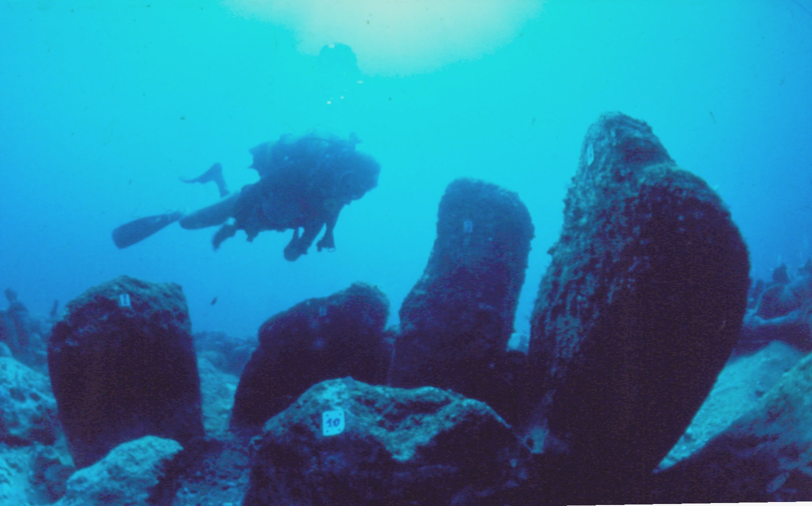 Iliad Underwater Cultural Heritage of Israel Pilot Explores the Depths ...